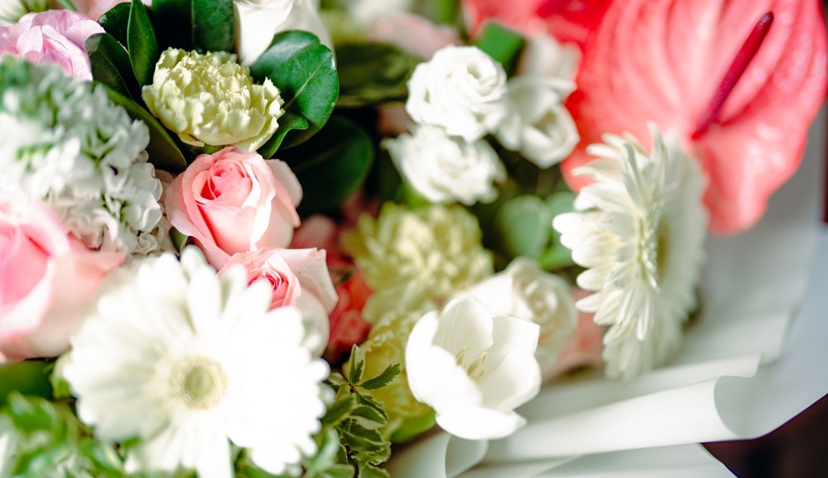 5 Flower Care Myths You Should Stop Believing